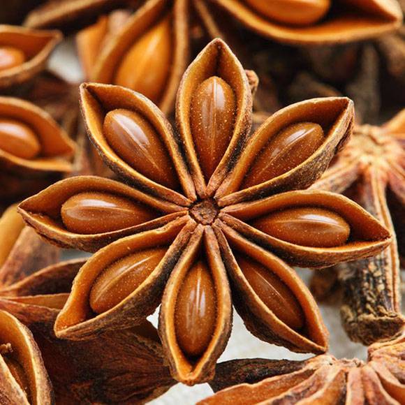 Anis étoilé bio - Herboristerie Plaisir-Santé